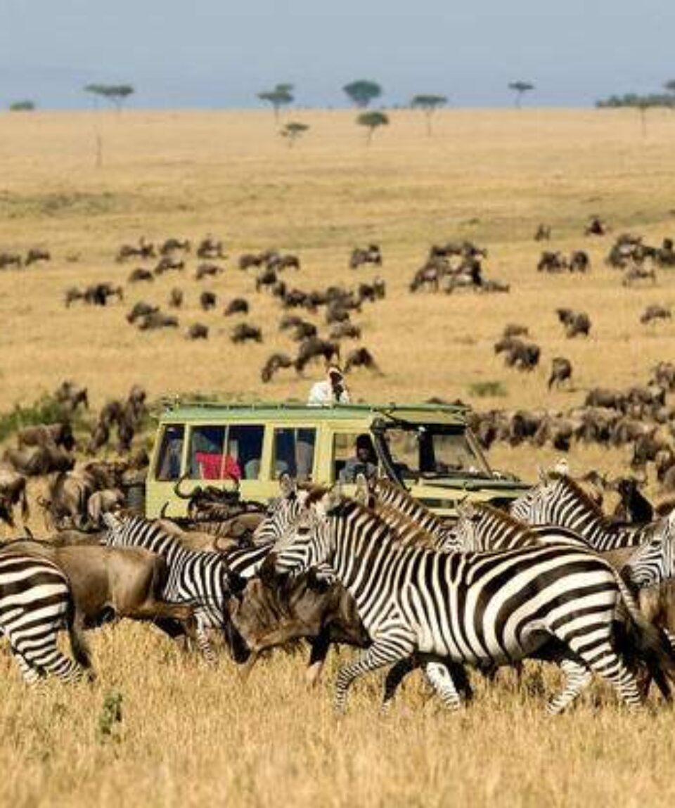 15 days kenya classic safari holiday package