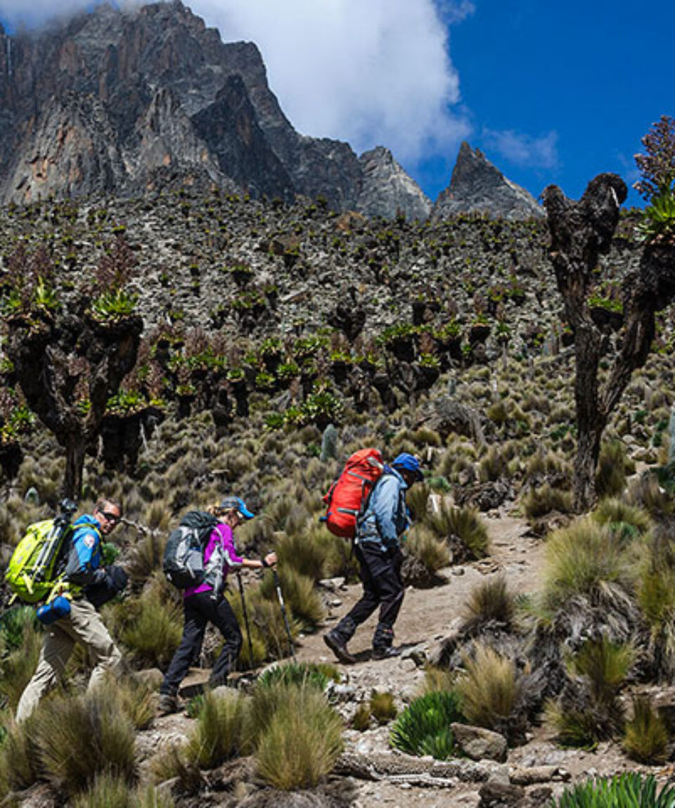 5 Days Mount Kenya Climbing Chogoria Naro Moru Route